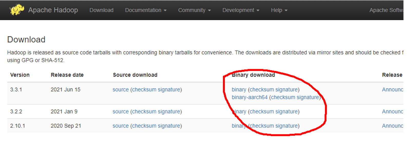 java.lang.NoClassDefFoundError: Could not initialize class org.apache.hadoop.hdfs.DFSUt-CSDN博客