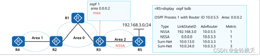 OSPF特殊区域介绍（Stub和Nssa区域）_stub区域-CSDN博客
