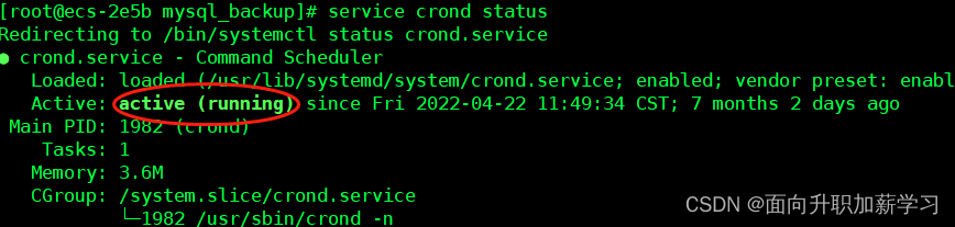 Docker Compose Mysql容器定时备份功能实现 Docker Compose 定时备份mysql Csdn博客