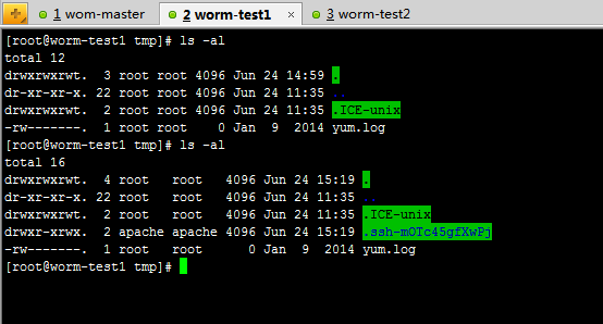 基于破壳漏洞的蠕虫实践_蠕虫 shockworm-CSDN博客