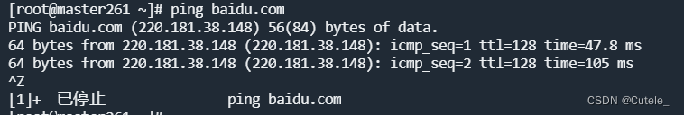 【云计算】CentOS7 上配置Openstack（单机）bug记录_you have chosen ovn neutron backend. note that thi-CSDN博客