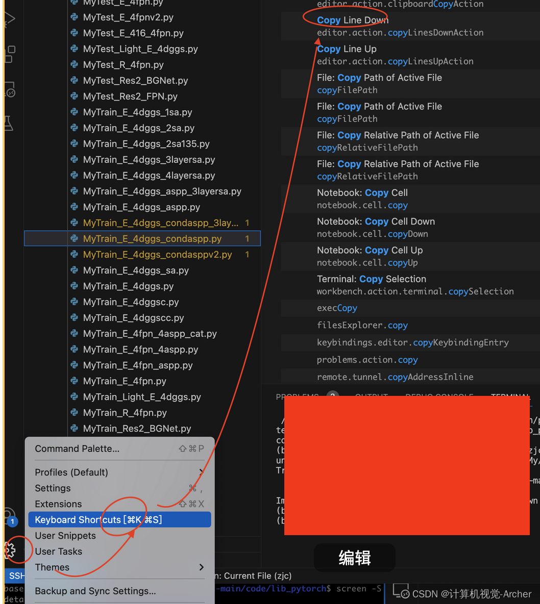 Pycharm VSCode快捷键设置 Duplicate CopyLine Down_vscode设置duplicate-CSDN博客