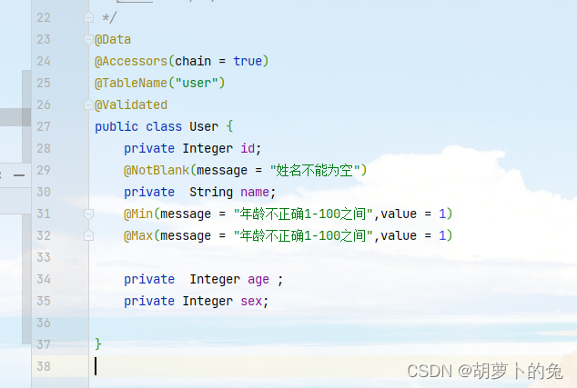 Spring Boot Validated失效的问题springboot Validation不起作用 Csdn博客