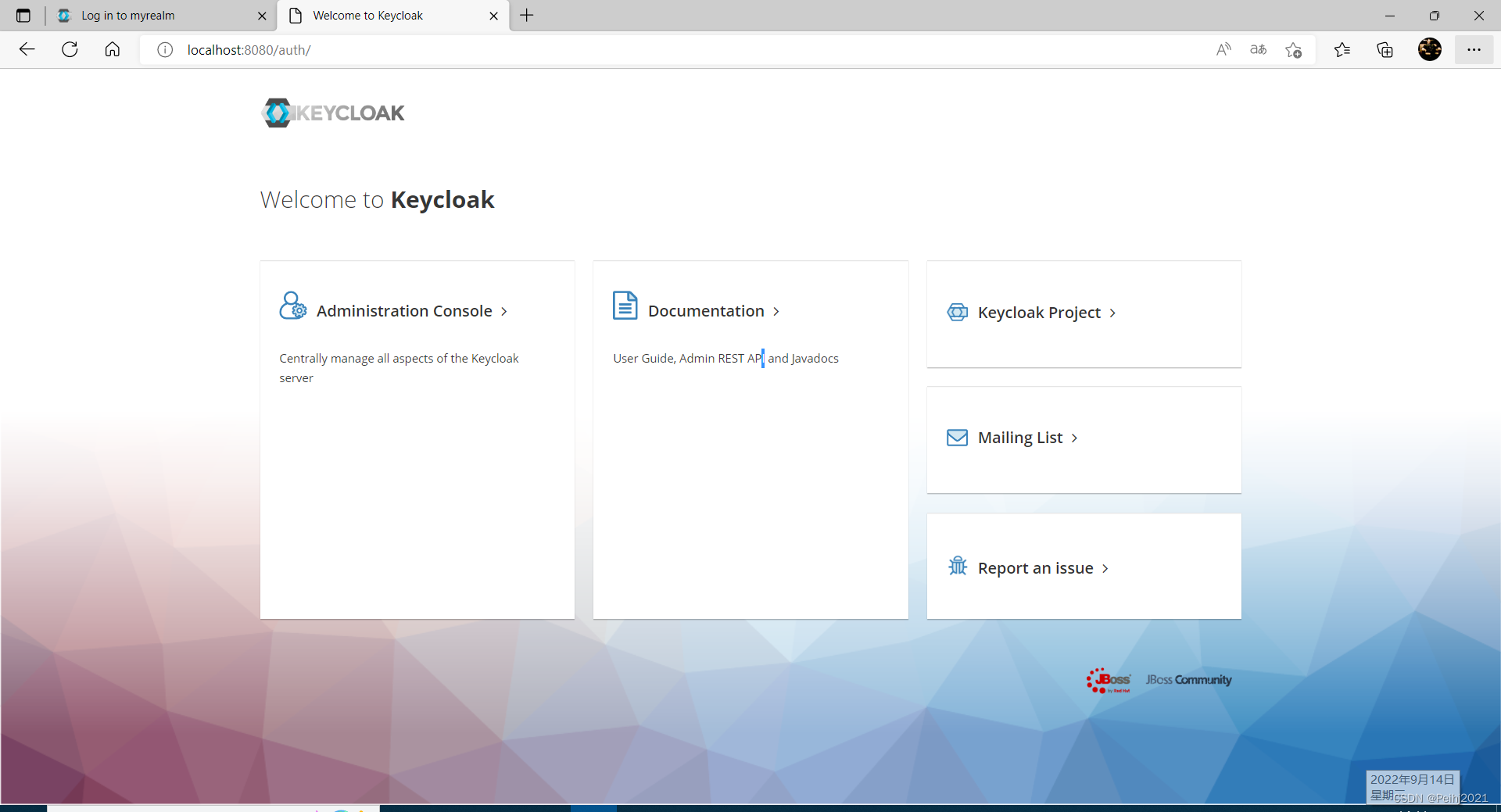 Keycloak快速入门及Springboot整合_keycloak springboot-CSDN博客