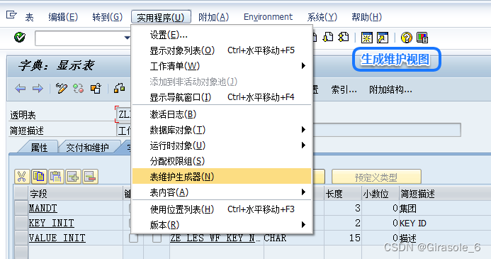 Abap基础：数据字典表、表维护试图维护视图、视图簇总结abap 维护视图 Csdn博客