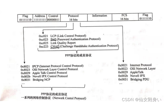 HCIP网络类型，ppp会话，数据链路层协议_ncp协议协商验证方式-CSDN博客