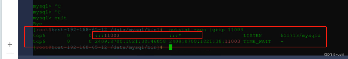 springboot对ipv6改造,mysql/redis_springboot ipv6-CSDN博客
