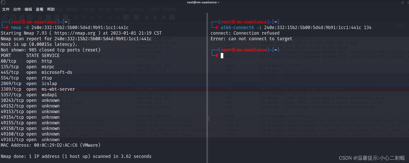 Thc-Ipv6 使用-CSDN博客