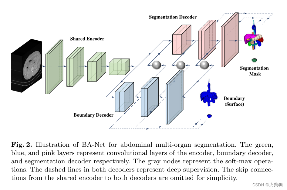 Boundary-Aware Network for Abdominal Multi-Organ Segmentation-CSDN博客