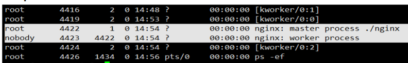 nginx安装、使用及搭建nginx服务器-CSDN博客