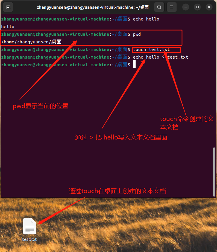 Linux的基本命令_uname data-CSDN博客