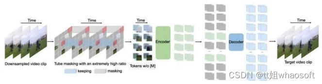 VideoMAE_videomae visualization reconstruction script: erro-CSDN博客