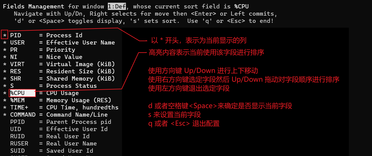 top 命令使用教程_top 过滤-CSDN博客