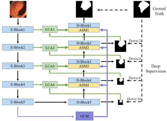 [论文阅读] Adaptive Context Selection for Polyp Segmentation-CSDN博客