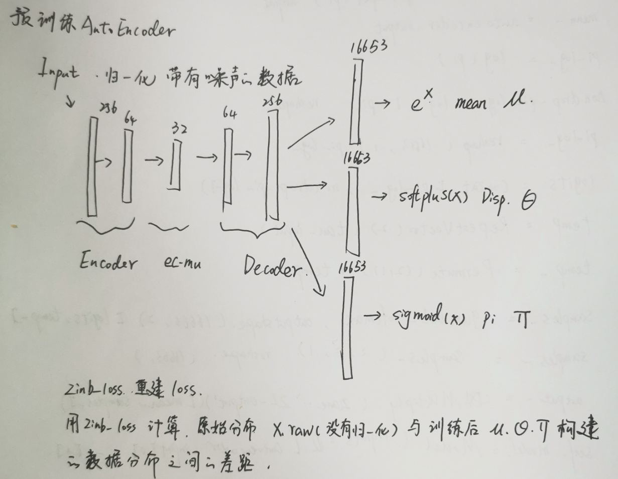 scDeepCluster_pytorch代码解读与文章理解-CSDN博客