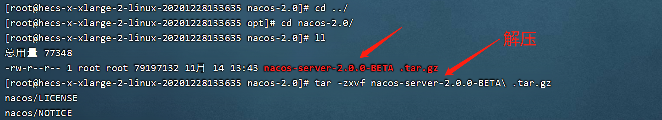 linux下安装nacos2.0_linux 安装nacos 2.0-CSDN博客
