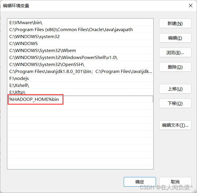 Hadoop 3x（hdfs） 【hdfs 的 Api 操作】hadoop3x Hdfs Api Csdn博客