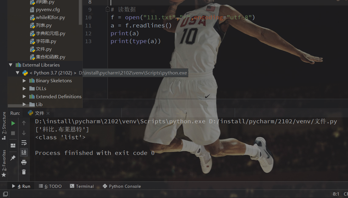 python文件的操作和异常的处理_open file rb 加入异常处理,如果读取文件错误则删除后重新生成-CSDN博客