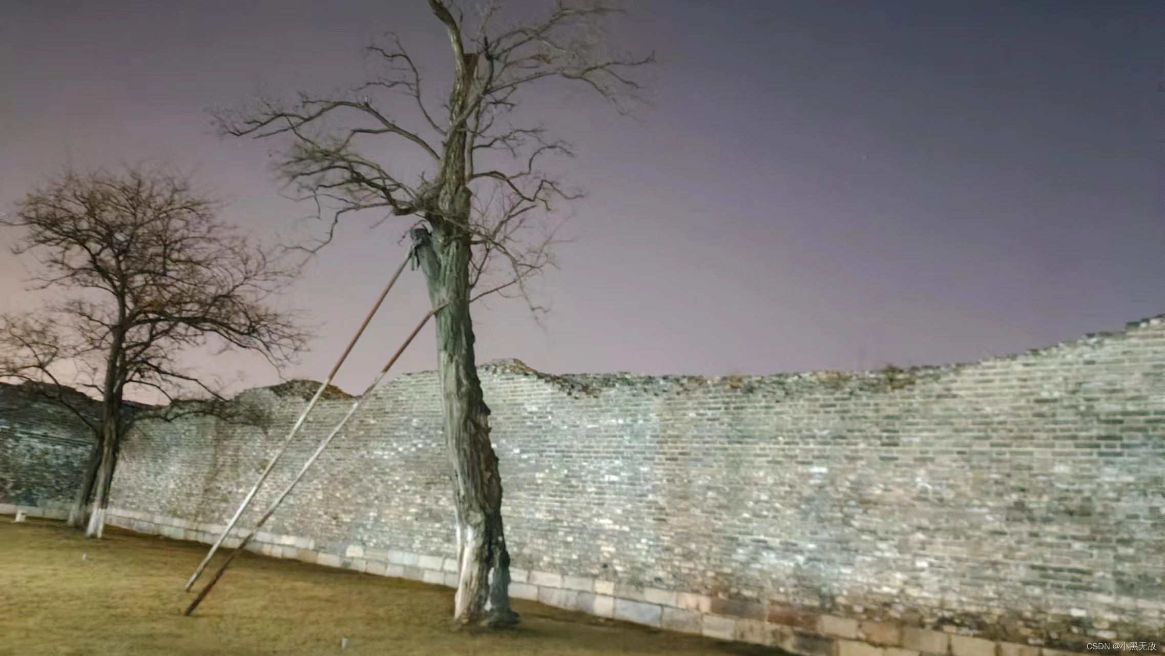 小黑傍晚遛弯明城墙，感受时代沧桑，论文即将突破3w收到终面通知，拒绝emo出来破费搓澡洗浴的leetcode之旅：63 不同路径 Ii Csdn博客