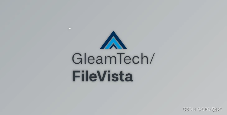 GleamTech FileVista文件管理器-CSDN博客