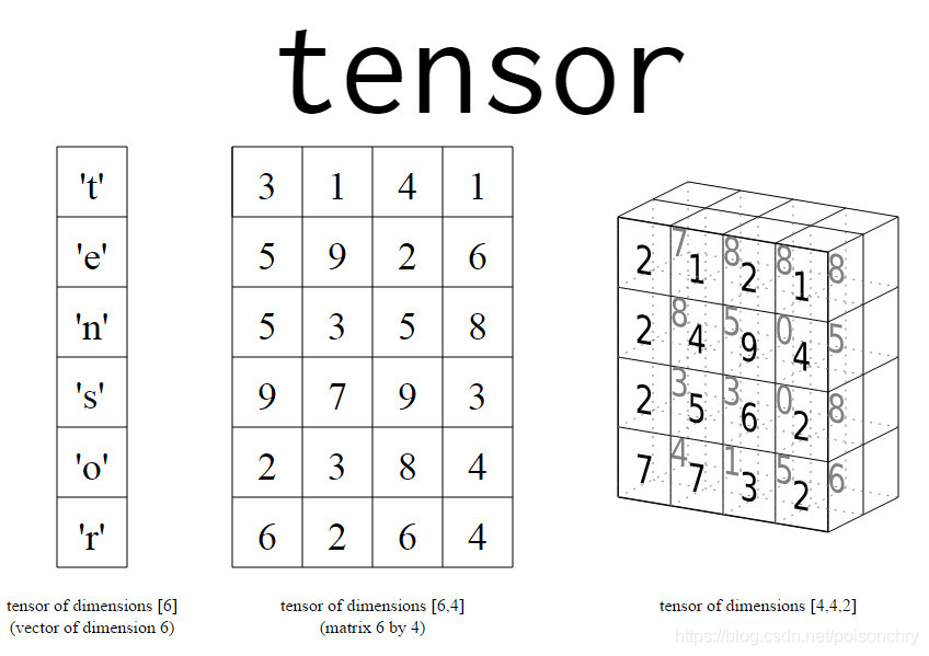 Pytorch基础操作 —— 1什么是tensor,以及tensor的基本属性、数据通道、维度深度学习中的维度、通道、向量的概念 Csdn博客