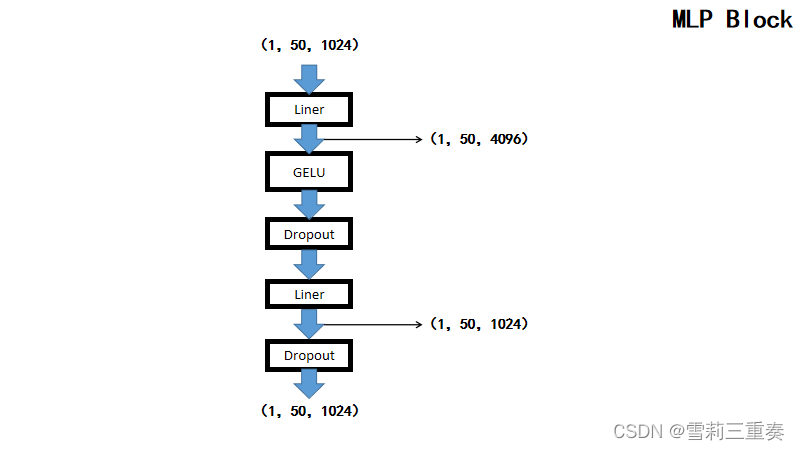 Mae系列(masked Autoencoders Are Scalable Vision Learners)(一)信号流分析 Csdn博客
