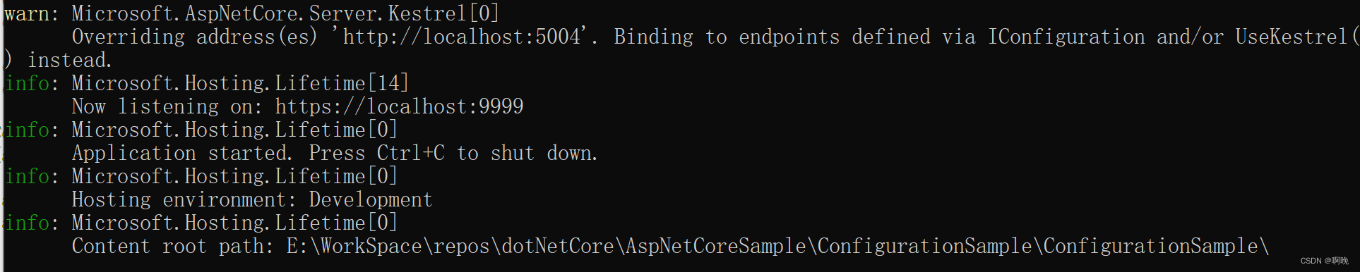 ASP.NET Core —配置系统_aspcore 获取配置-CSDN博客