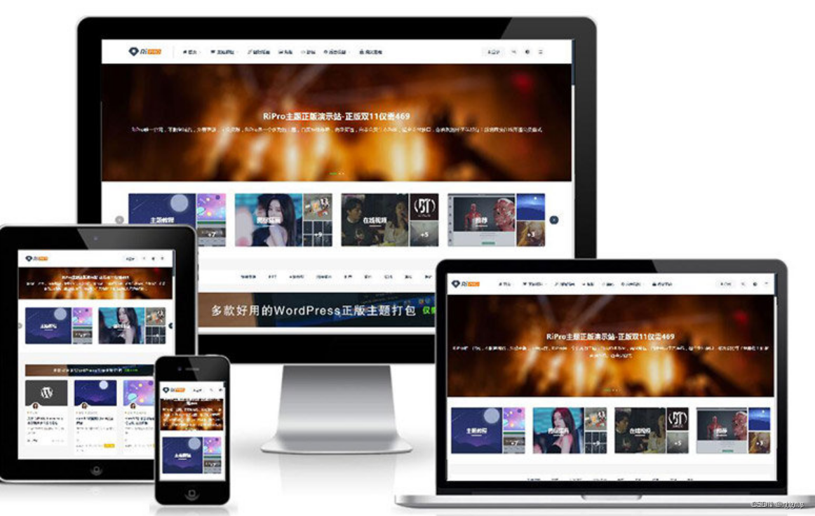 2022全新Ripro日主题V9.0升级修正版源码+美化包和插件_ripro主题二开美化版sucaihu-childv1.9-CSDN博客