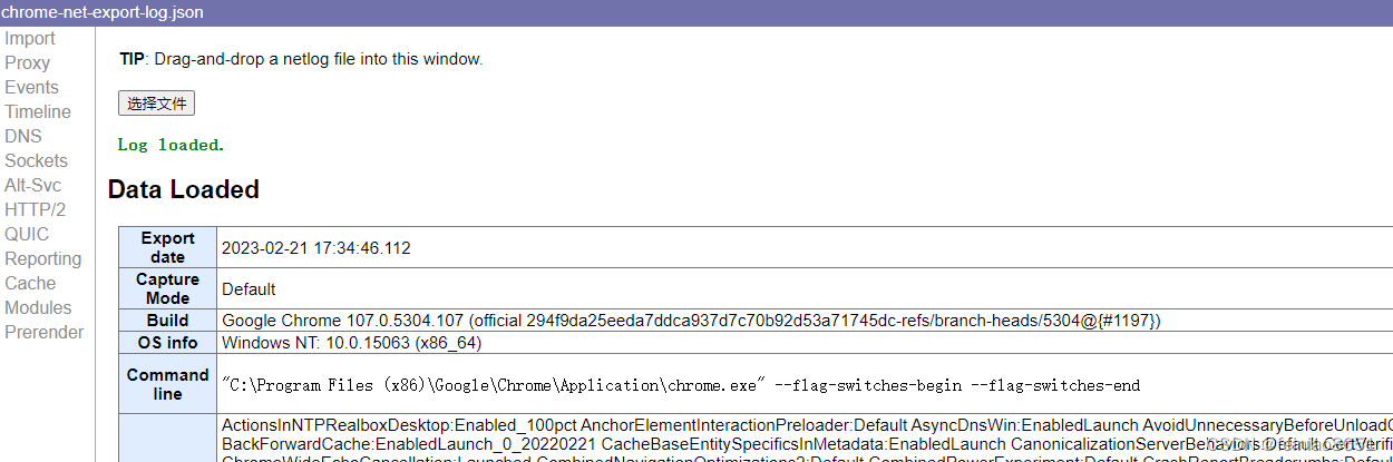 chrome自带的网络分析工具net-export_netlog viewer-CSDN博客