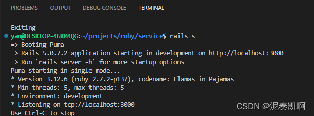 ruby2.7.2版本代码环境部署_ruby-2.7.2_泥奏凯啊的博客-CSDN博客