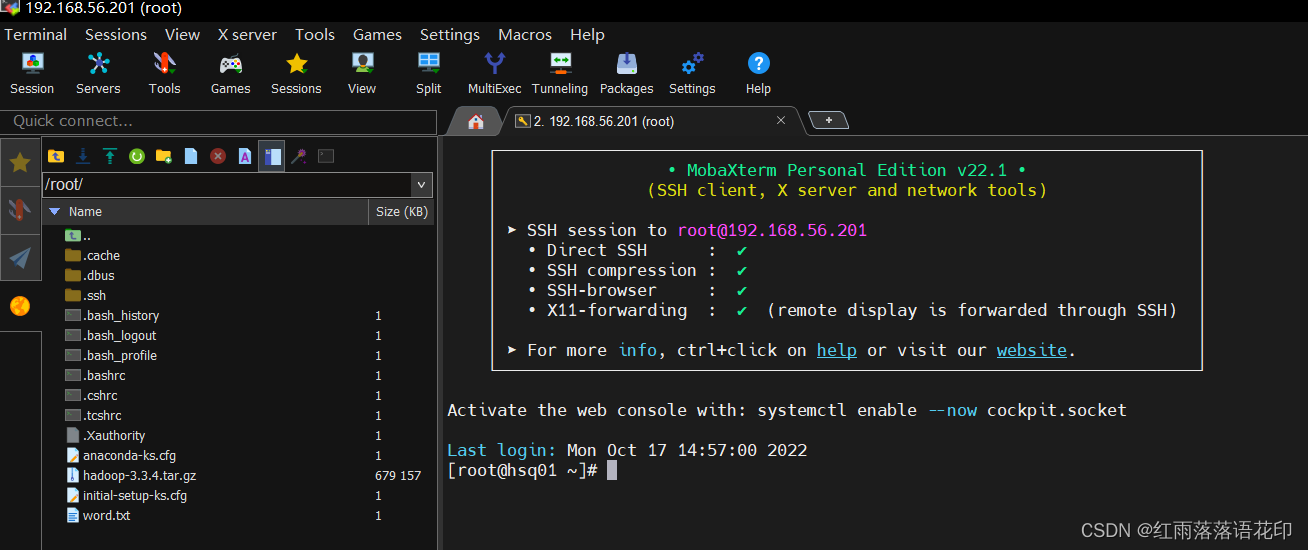 VM VirtualBox 实现 Hadoop 3.3.4集群搭建_vm虚拟机实现集群-CSDN博客
