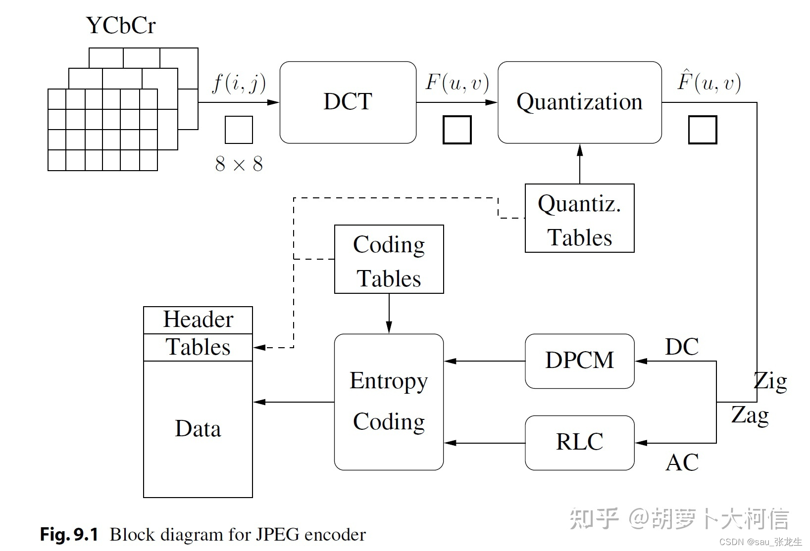 图像压缩编码发展学习_,霍夫曼编码、rle编码都是 压缩-CSDN博客