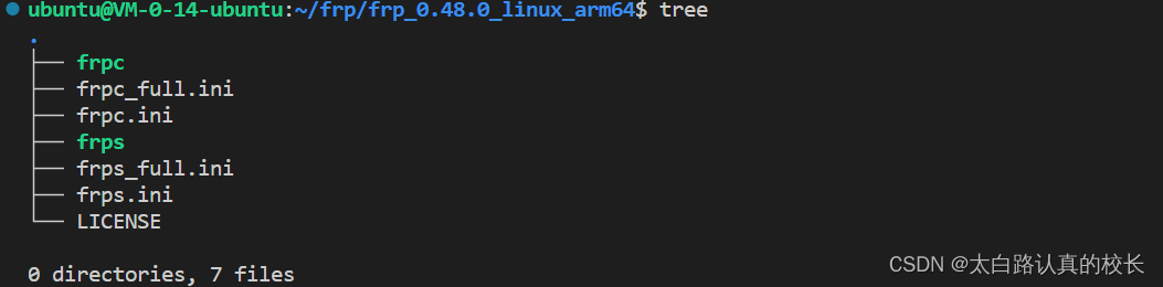 Sat-Hacking基础篇：Frp环境搭建_frp搭建-CSDN博客