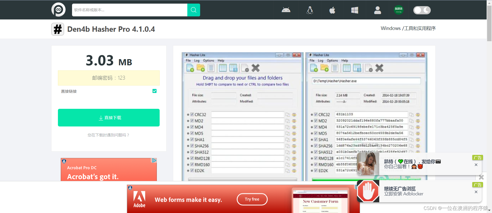 网络安全之文件内容对比工具HasherPro下载_hasher pro-CSDN博客