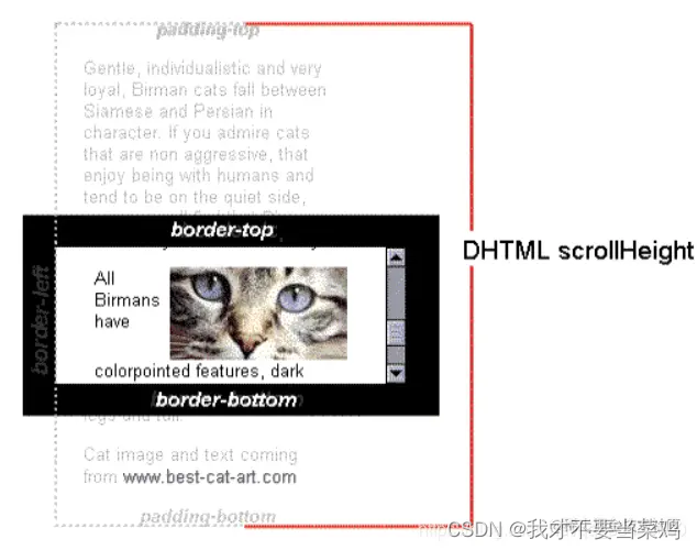 clientHeight、offsetHeight、scrollHeight、offsetTop、scrollTop的区别-CSDN博客