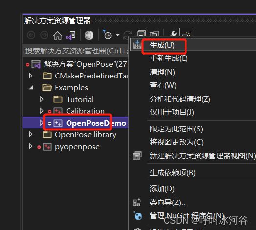 OpenPose的使用_openpose怎么用-CSDN博客