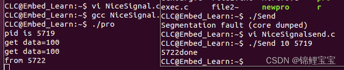 Linux进程间通信（下）（共享内存、信号、信号量）_linux共享内存加信号量_锦鲤宝宝的博客-CSDN博客