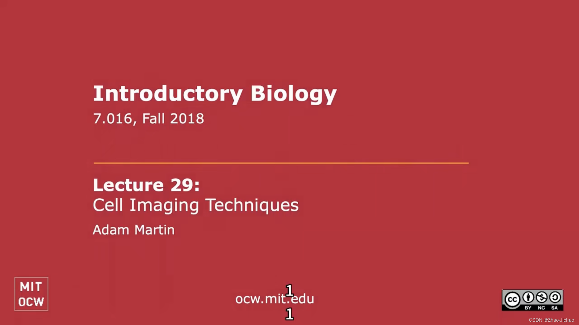 【Introductory Biology】Lecture 29 - Cell Imaging Techniques - 细胞成像技术_introductory techniques for ...