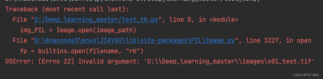 fp = builtins.open(filename, “rb“)OSError: [Errno 22] Invalid argument ...