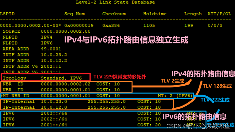 ISIS对IPv6的支持_静下心来敲木鱼的博客-CSDN博客