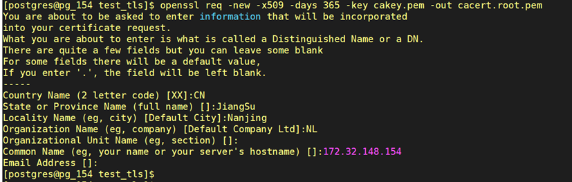 etcd\Patroni\PostgreSQL使用SSL、TLS、HTTPS_patroni etcd-CSDN博客