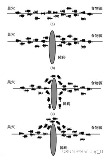 毕业设计 基于 Matlab 的蚁群算法求解旅行商问题图论 毕业设计 Csdn博客