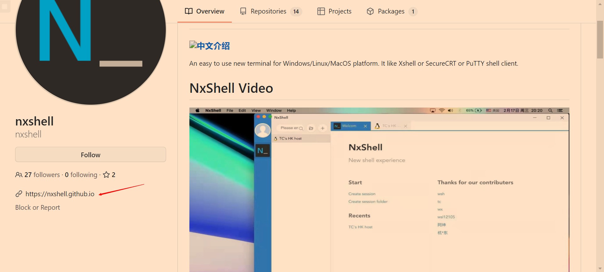 简单易用的终端工具——NxShell-CSDN博客