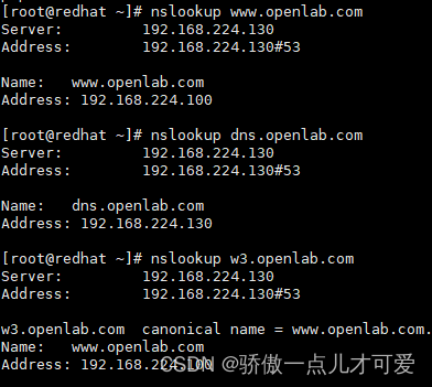 DNS域名解析服务器_指定域名走指定的dns-CSDN博客