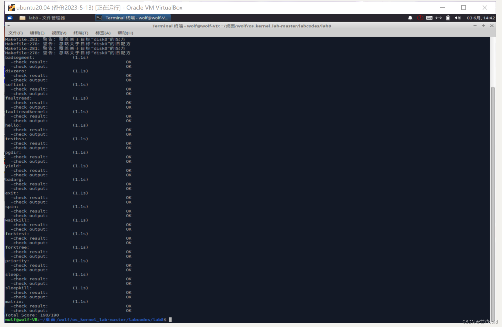 【已弃用】HNU-操作系统OS-实验Lab8-CSDN博客