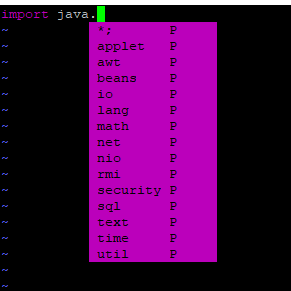 Vim中的Java代码补全插件_omni completion for java-CSDN博客