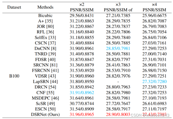 DSRNet_神经网络dsr-CSDN博客
