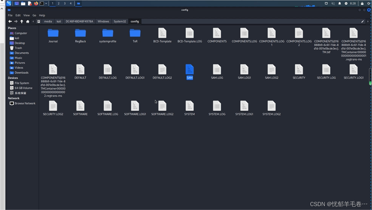 窥秘Windows 10：SAM密码破解_sam文件-CSDN博客