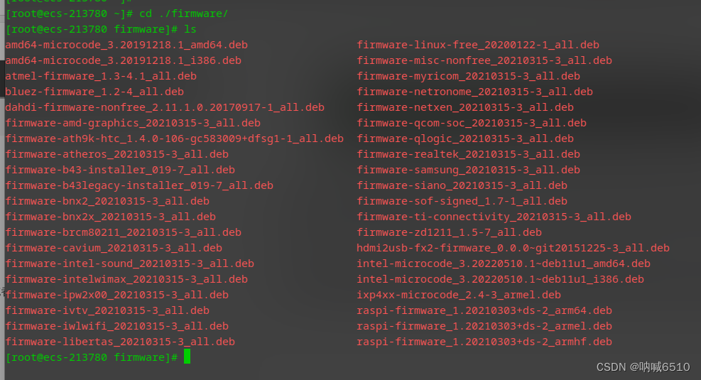 Debian 安装后固件缺失的解决办法_raspi-firmware-CSDN博客