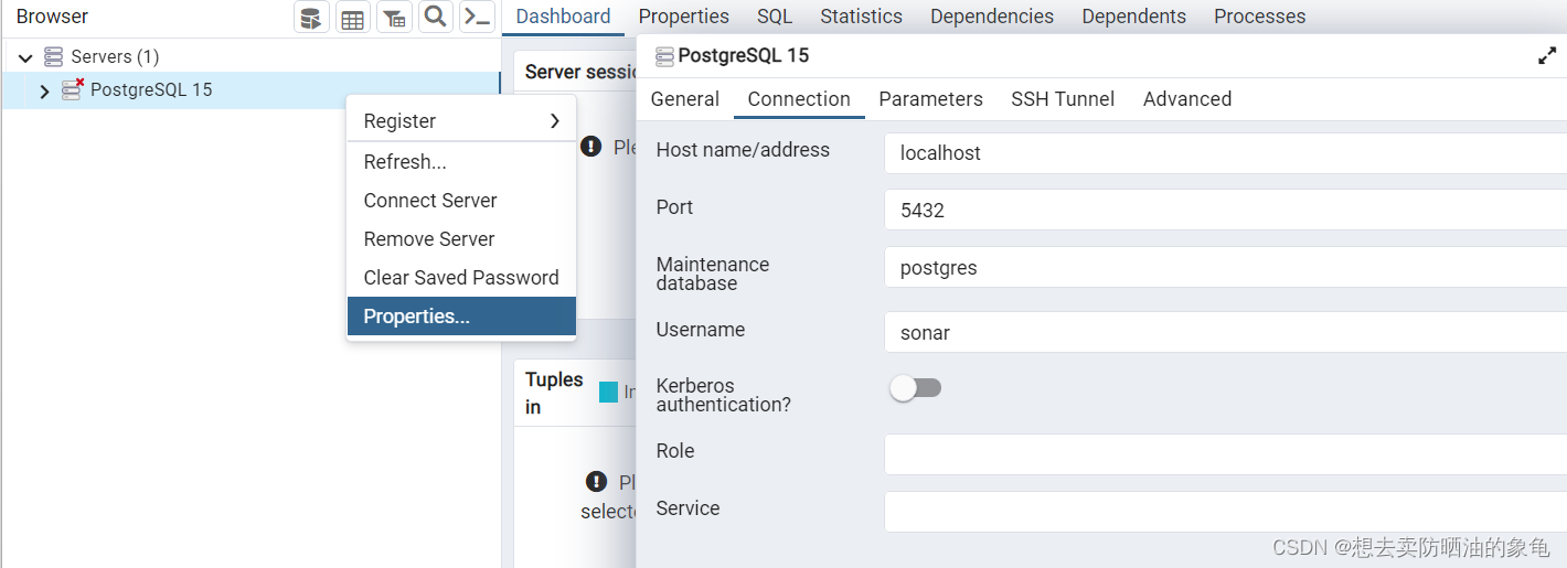 Windows下sonarqube10.0安装与配置（二）_win10 sonarqube安装使用-CSDN博客